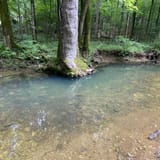 Patton Cave Loop Via Grubb Ridge, Indiana - 273 Reviews, Map | AllTrails