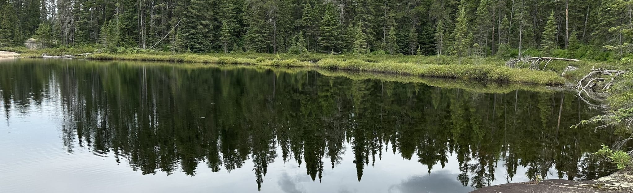 Hawk Ridge Trail, Ontario, Canada - 90 Reviews, Map | AllTrails