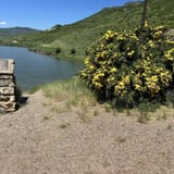 Elk Run Trail, Colorado - 65 Reviews, Map | AllTrails