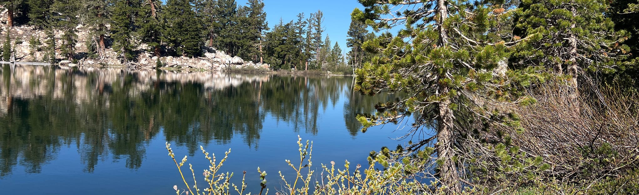 Star Lake via Cold Creek Trail and High Meadows Road, California - 84 ...