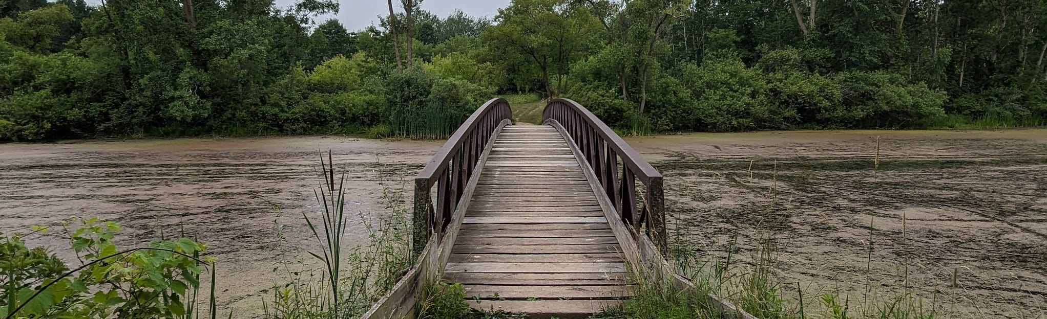 Lake Ovid Island: 165 Reviews, Map - Michigan | AllTrails