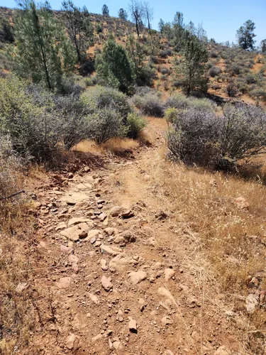 2023 Best Horse Riding Trails in Red Hills Recreation Management Area ...