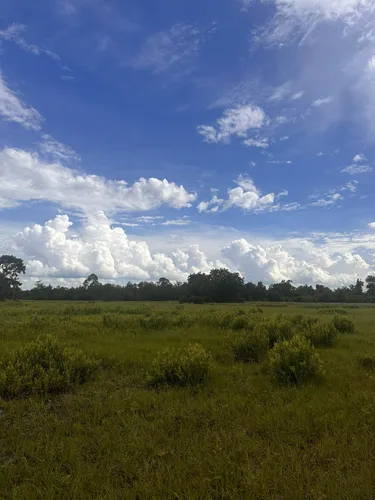 Best Hikes and Trails in Split Oak Forest Wildlife And Environmental ...