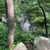 Jones Run Falls Trail, Virginia - 766 Reviews, Map | AllTrails