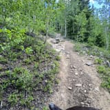 Hassell Lake Trail, Colorado - 508 Reviews, Map | AllTrails