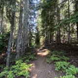 Thorp Mountain Trail, Washington - 232 Reviews, Map | AllTrails