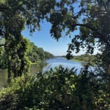 The Meadows Slough Trail, California - 424 Reviews, Map | AllTrails