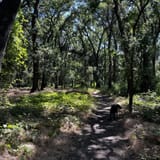 The Meadows Slough Trail, California - 424 Reviews, Map | AllTrails