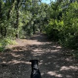 The Meadows Slough Trail, California - 424 Reviews, Map | AllTrails