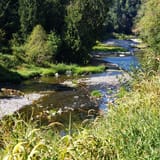 Willapa Hills Trail, Washington - 334 Reviews, Map | AllTrails