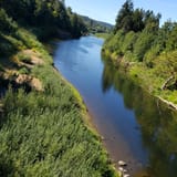 Willapa Hills Trail, Washington - 334 Reviews, Map | AllTrails