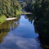 Willapa Hills Trail, Washington - 334 Reviews, Map | AllTrails