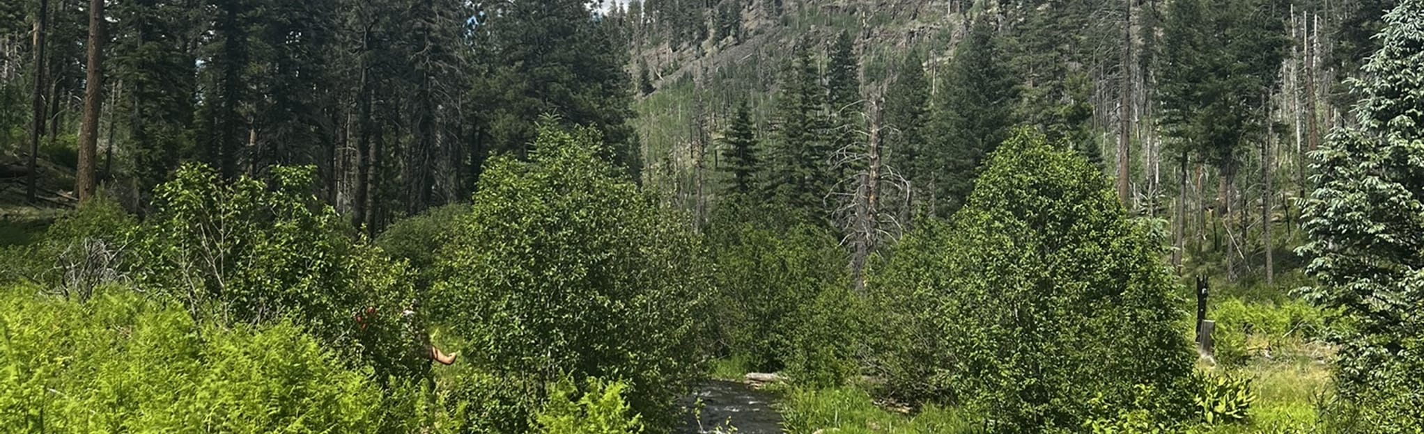 Government Springs 95A, Arizona - 457 Reviews, Map | AllTrails