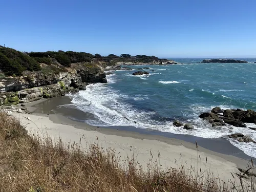 2023 Best Bird Watching Trails in The Sea Ranch | AllTrails