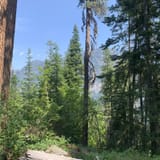 Hidden Lake Trail, Washington - 591 Reviews, Map | AllTrails