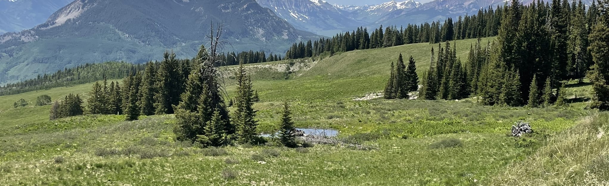 Caves to Point Lookout, Colorado - 87 Reviews, Map | AllTrails
