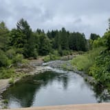 Wilson River Trail, Oregon - 26 Reviews, Map | AllTrails