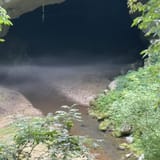 Russell Cave Trail, Alabama - 131 Reviews, Map | AllTrails