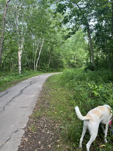 Best Hikes and Trails in Warnimont Park | AllTrails