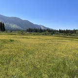 Nevada Beach and Round Mound Trail, Nevada - 585 Reviews, Map | AllTrails