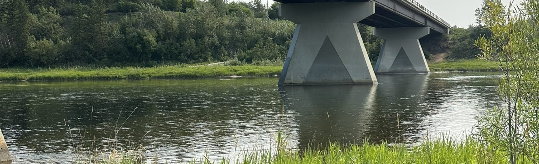 Joffre Bridge Trail, Alberta, Canada - 31 Reviews, Map | AllTrails