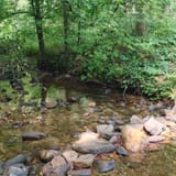 Cheaha Wilderness 30 Mile Loop, Alabama - 65 Reviews, Map | AllTrails