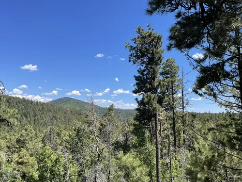 Best Lake Trails in Springerville | AllTrails