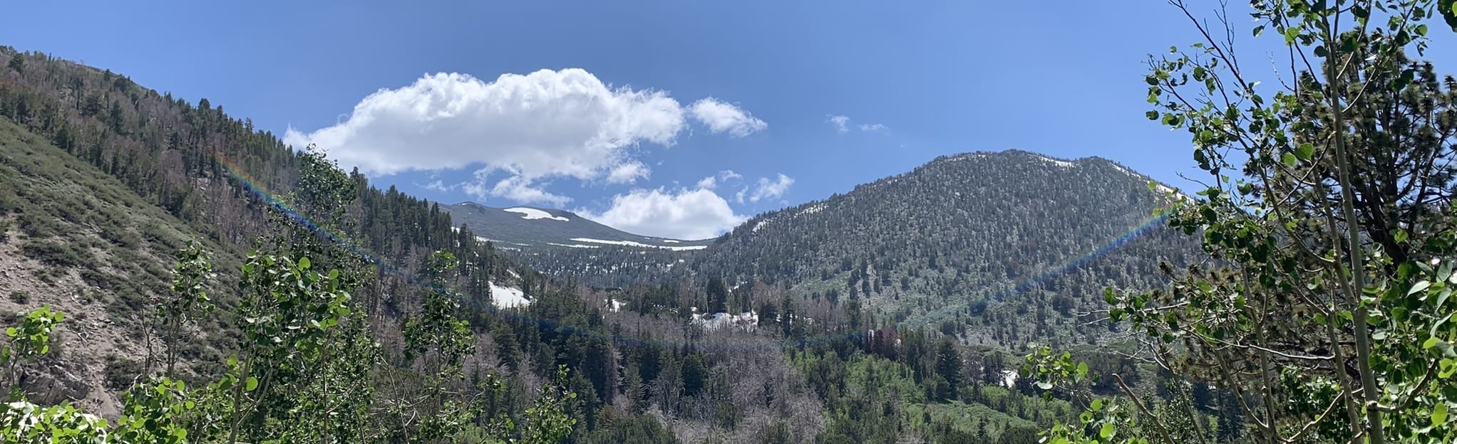 Mount Rose From Galena Creek: 1.877 fotos - Nevada | AllTrails