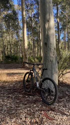 Best Hikes and Trails in Bermagui State Forest | AllTrails