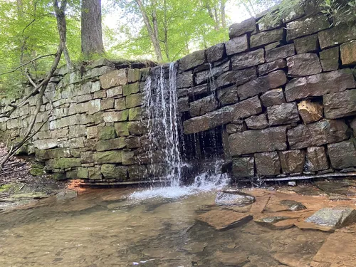 2023 Best Camping Trails in Cook Forest State Park | AllTrails