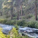 West Metolius River Trail, Oregon - 592 Reviews, Map | AllTrails