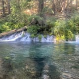 West Metolius River Trail, Oregon - 592 Reviews, Map | AllTrails