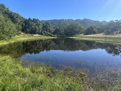 Best Hard Trails in Garland Ranch Regional Park | AllTrails