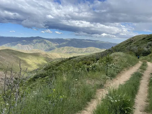 10 Best Trails and Hikes in Boise | AllTrails