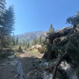 Barney Lake, California - 521 Reviews, Map | AllTrails