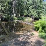 Round Lake Trail, Idaho - 583 Reviews, Map | AllTrails