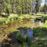 Fall River Trail, Oregon - 336 Reviews, Map | AllTrails