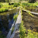 Fall River Trail, Oregon - 336 Reviews, Map | AllTrails