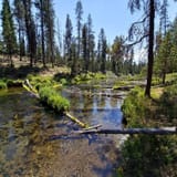 Fall River Trail, Oregon - 336 Reviews, Map | AllTrails