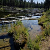 Fall River Trail, Oregon - 336 Reviews, Map | AllTrails