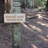Barlow Pass to Upper Twin Lake via PCT, Oregon - 307 Reviews, Map ...