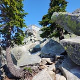 Mount Pilchuck Trail, Washington - 3,144 Reviews, Map | AllTrails