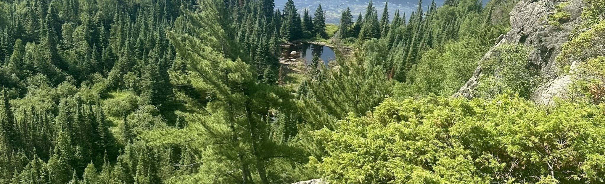 Camp Lake Overlook Trail, Ontario, Canada - 91 Reviews, Map | AllTrails