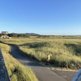 Long Beach Boardwalk and Discovery Trail Loop, Washington - 100 Reviews ...