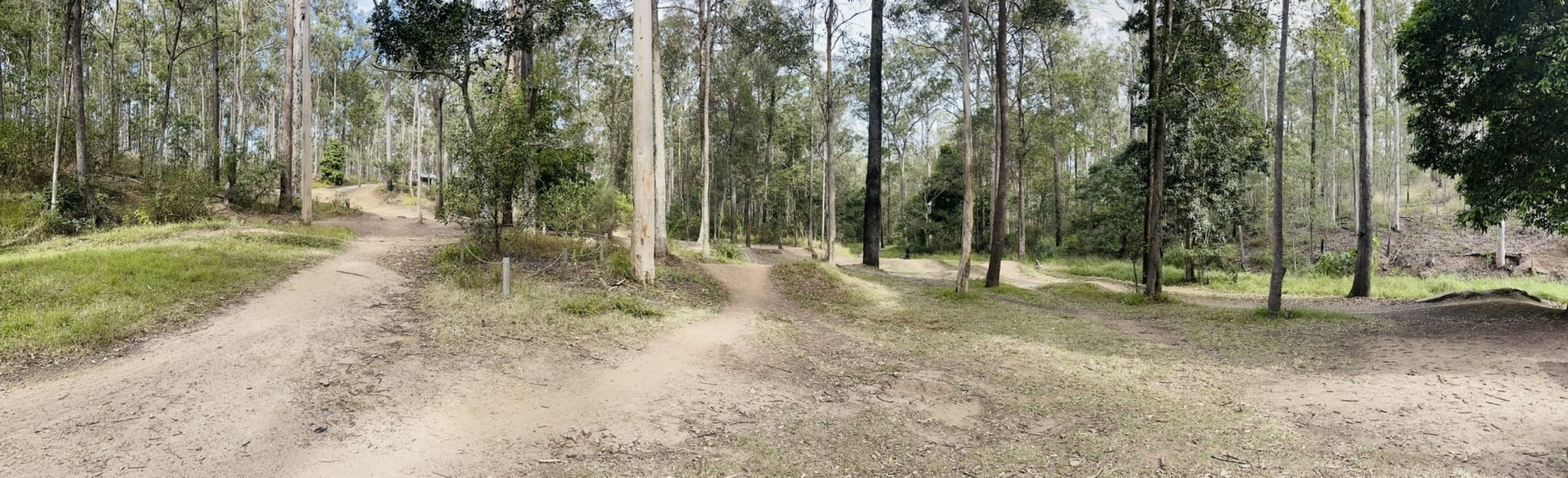 PMG Road, Three Sisters and Kombi Trail: 59 foto's - Queensland ...