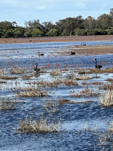 Best Hikes and Trails in Locke Nature Reserve | AllTrails