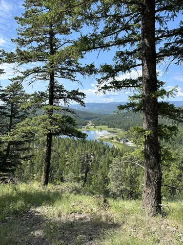 Best Hikes and Trails in Stillwater State Forest | AllTrails