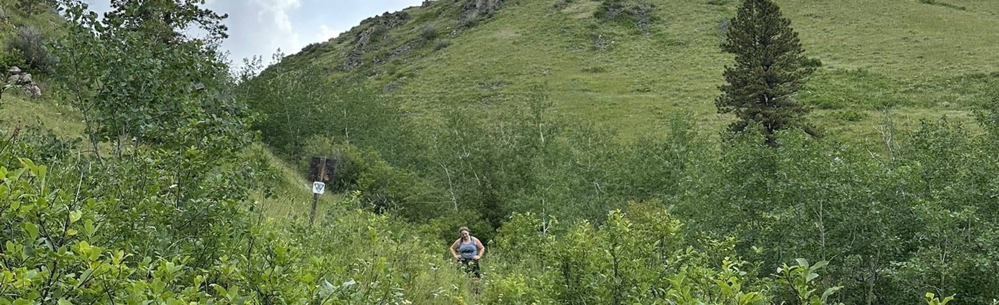 Grouse Mountain Trail, Wyoming - 111 Reviews, Map | AllTrails