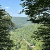 Butternut Trail, Pennsylvania - 199 Reviews, Map | AllTrails