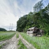 Battle Road Trail, Massachusetts - 1,001 Reviews, Map | AllTrails